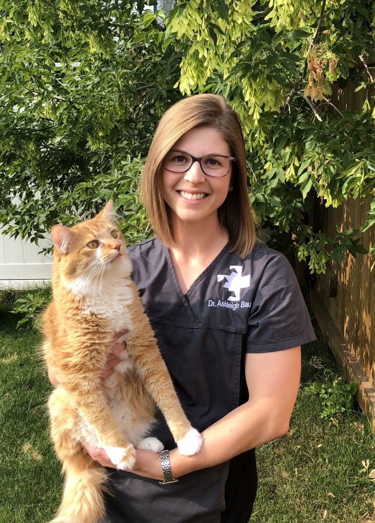 Veterinarians - Meridian Veterinary Clinic